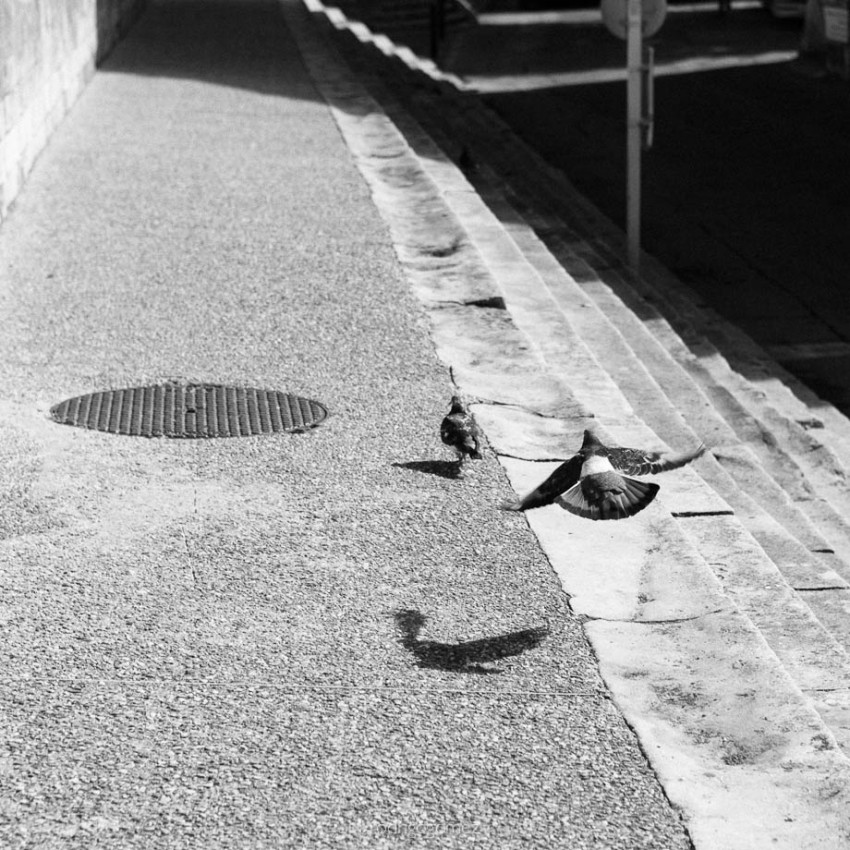 You’re always telling stories – Arles – Rodrigo Gómez Photoblog